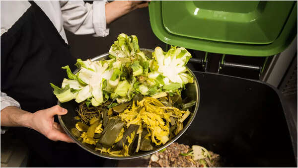 Explained: Smart and easy tips for using leftovers and avoid food waste ...