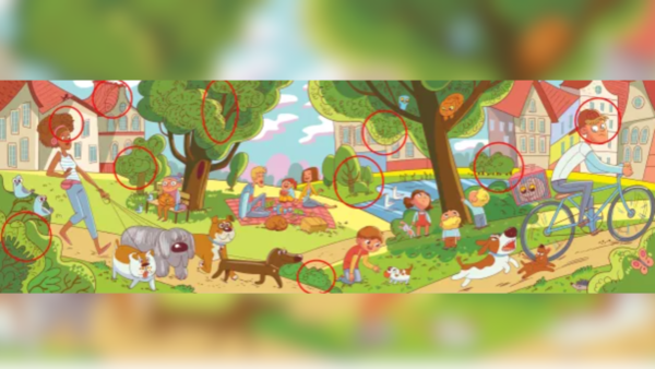 Brain teaser challenge: Spot the 10 hidden animals in this colorful ...