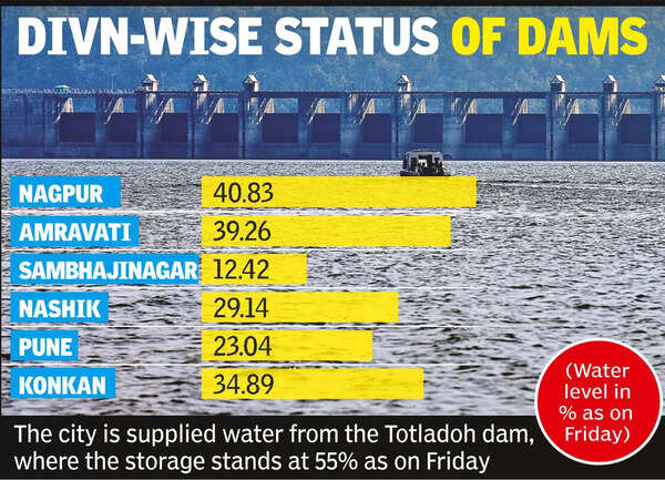 Water Level: Water Level in Vidarbha Dams Lower than Last Year | Nagpur ...