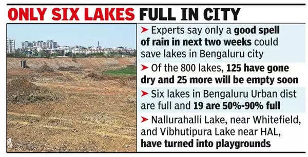 125 of 800 lakes in Bengaluru dry up; 25 more to become empty soon ...