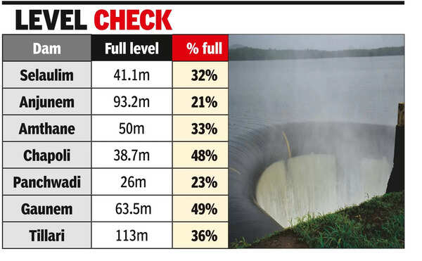Enough raw water to last up to 75 days: WRD minister | Goa News - Times ...