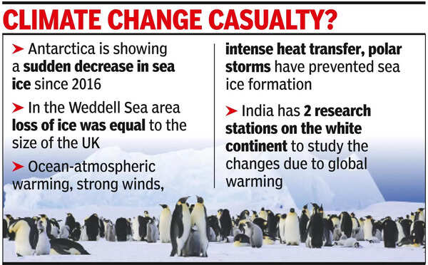 Indian scientists aim to solve mystery of extremely low sea ice cover ...