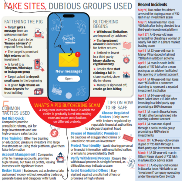 Guru's stock tips Scam: How Telegram channels turned dreams into ...