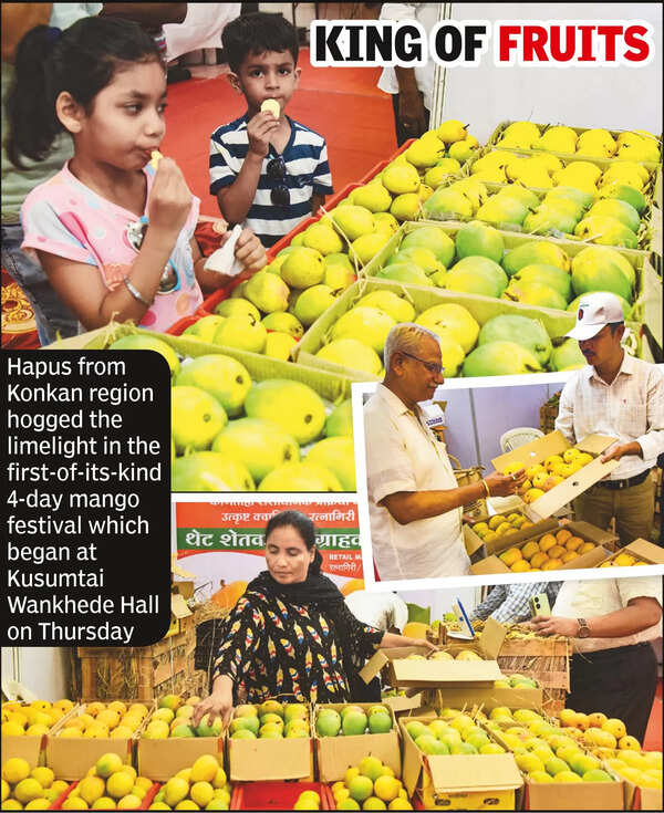 Mango Festival: Konkan hapus adorn 1st mango fest in city | Nagpur News ...