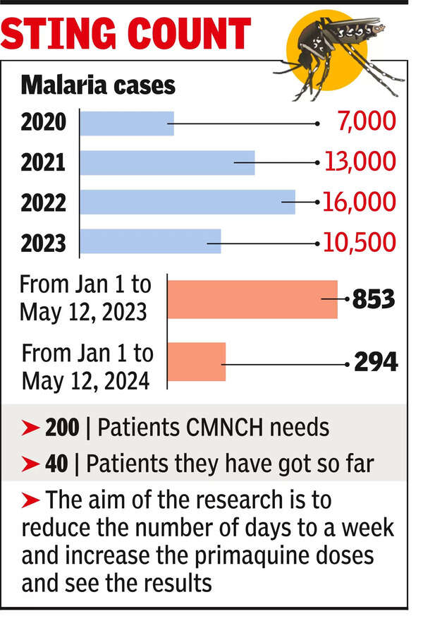 Malaria Cases: Malaria cases dip, hosp strives to find patients for ...