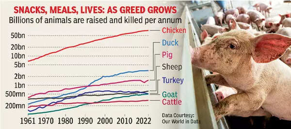 ‘Humans treat animals like slaves, taking even their flesh from them ...