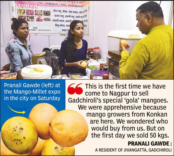 Mango Lovers: Gadchiroli woman introduces unique 'gola' mango variety ...