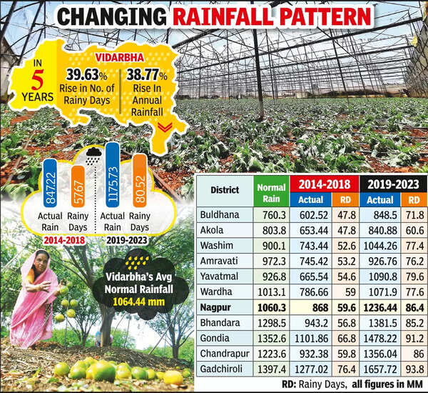 Rainfall Patterns: Changing Rainfall Patterns in Vidarbha Impact ...