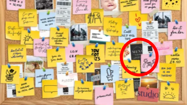 Brain teaser: Only a genius can spot the hidden flyer in 23 seconds ...