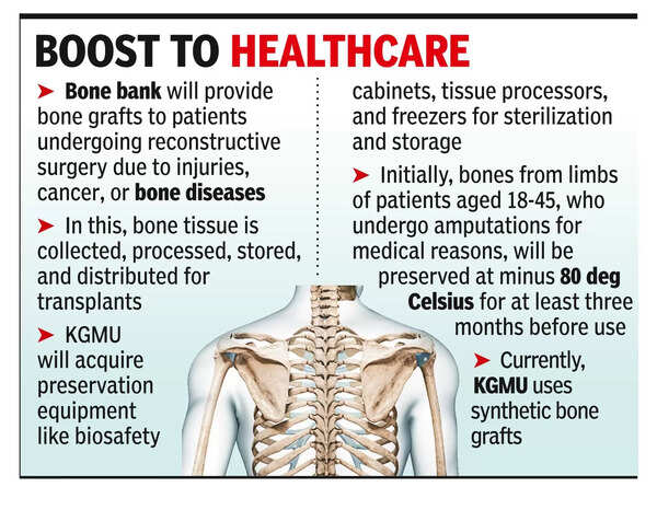 Bone Bank: State’s 1st bone bank at KGMU soon | Lucknow News - Times of ...