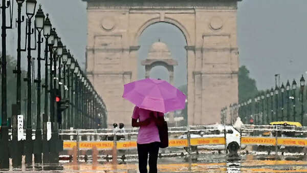 Delhi records high temperature these days: Things to keep in mind if ...