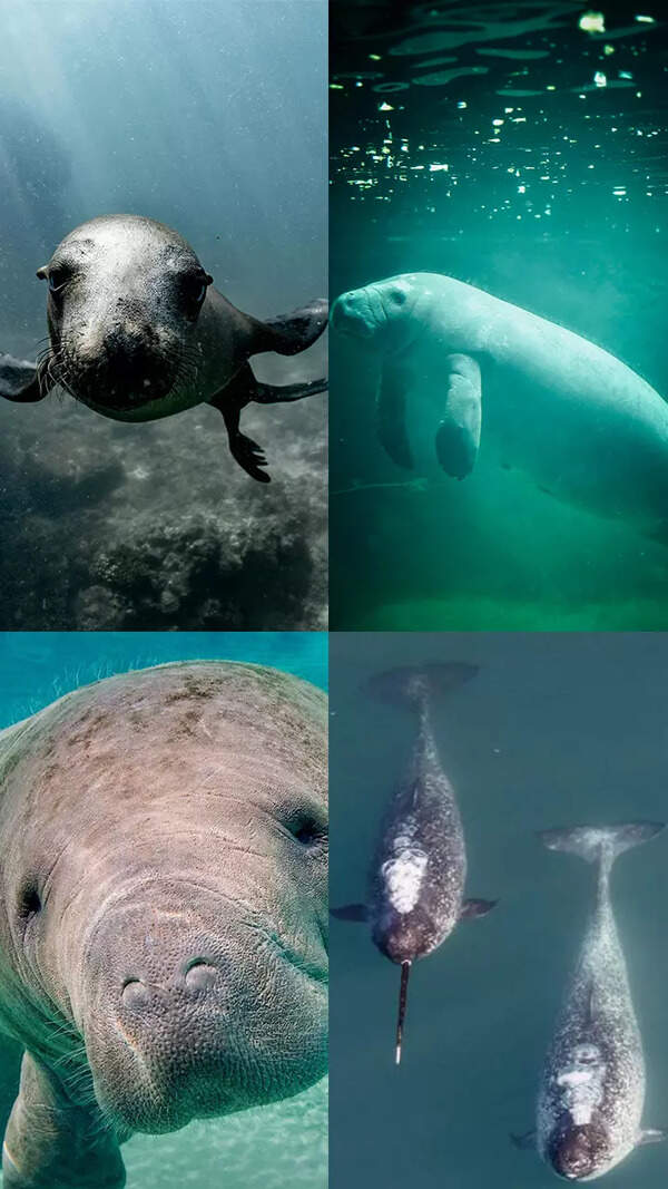 Whitener addiction on the rise among teens - Times of India