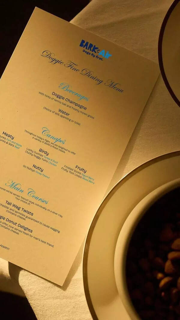 A flight for dogs! - Times of India