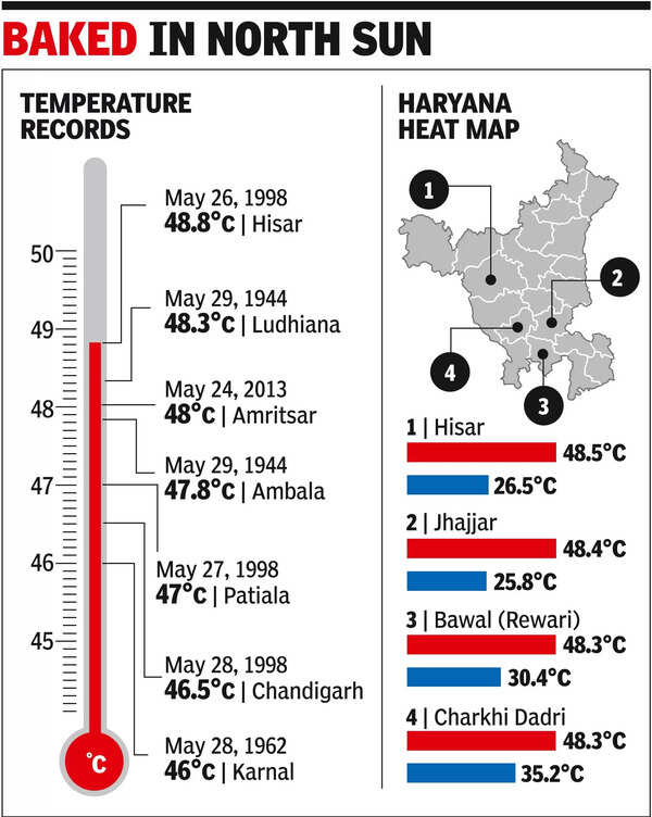 Temperature: Region Fried Chicken, Could Lay Omelette | Chandigarh News ...