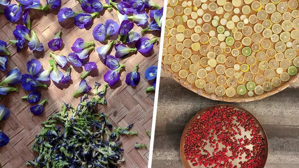 Seeds, lentil nuggets: Enjoy sun-drying this summer - Times of India