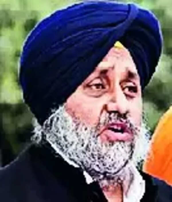 Punjab Lok Sabha Elections Counting Of Votes Begins For Lok Sabha 7081
