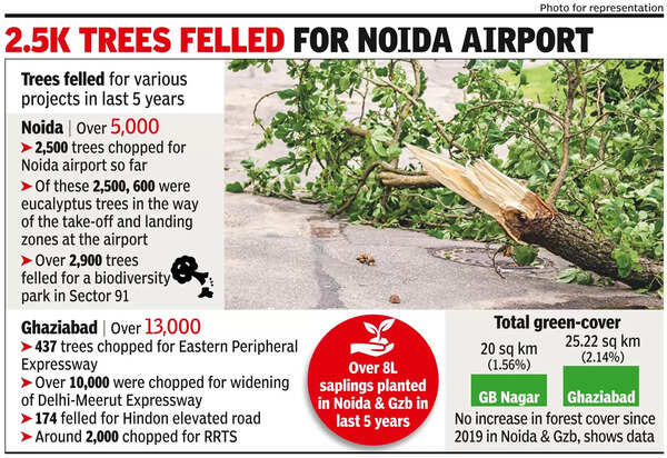 Trees Felled: Over 5,330 Trees Felled in Noida in Last 5 Years; DFO ...