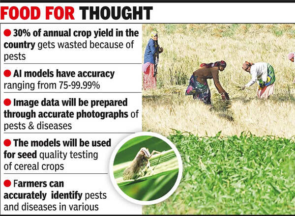AI: AI to help early detection of pests, diseases in crops | Vadodara ...