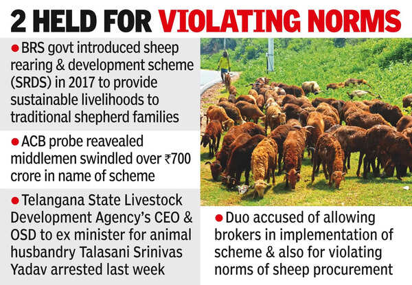 Sheep Scam: Sheep scam: HC junks kingpin’s plea to dismiss case against ...