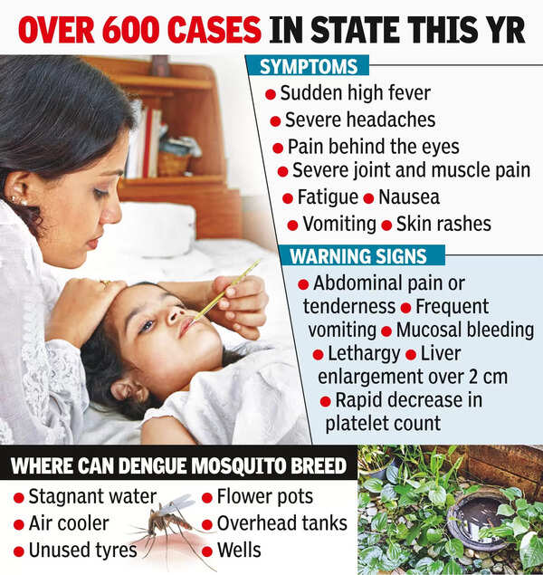 Dengue Cases: Dengue cases on the rise, experts fear worst to come ...