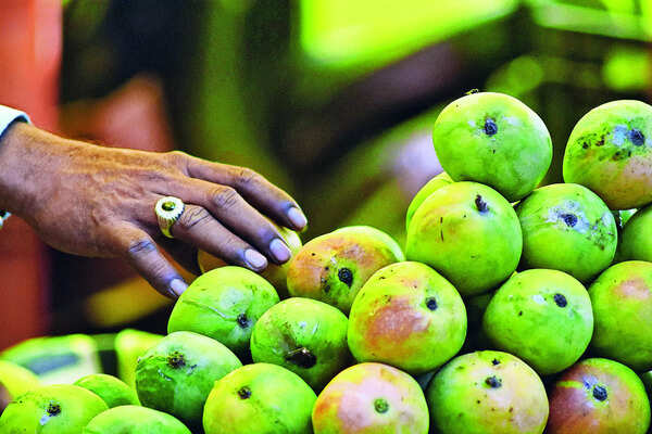 Mango Mayhem: what’s your pick this season? - Times of India
