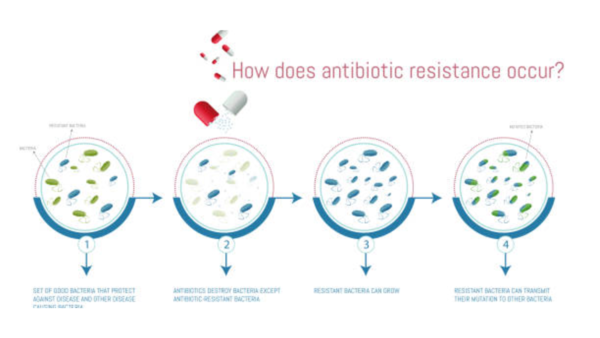 Should you be taking antibiotics in common cold? The answer is ...
