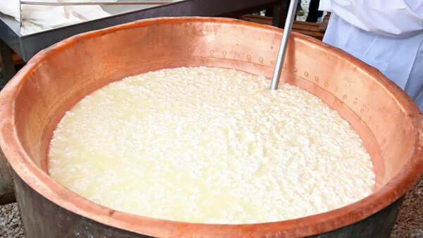 5 Lesser known ways to use old curd and is it actually safe to eat old ...