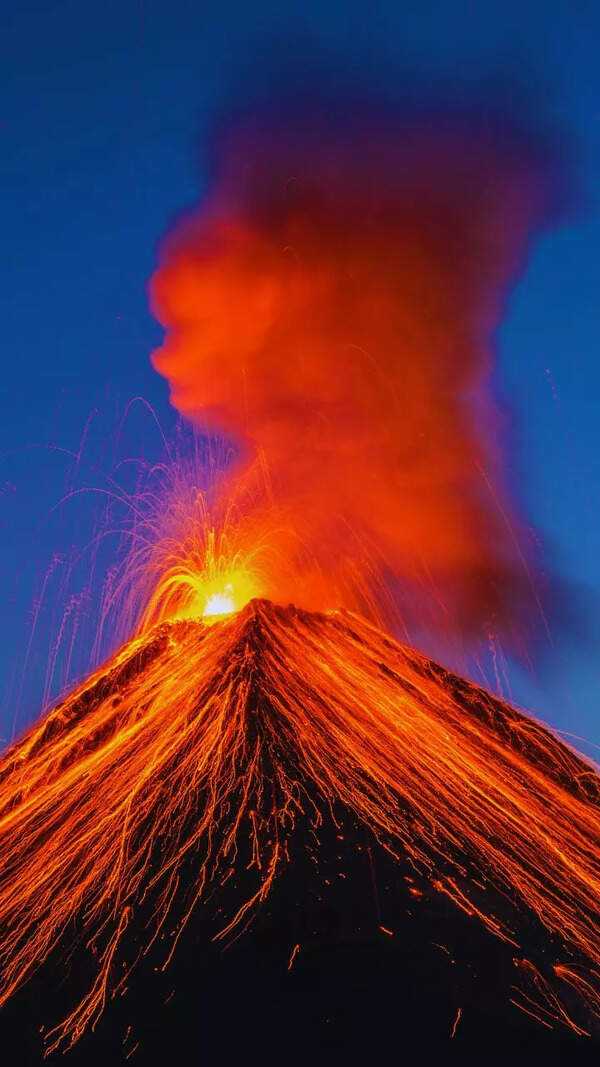 Sanjay Dutt Arms and Ammunitions case: Chronology of events | Hindi ...