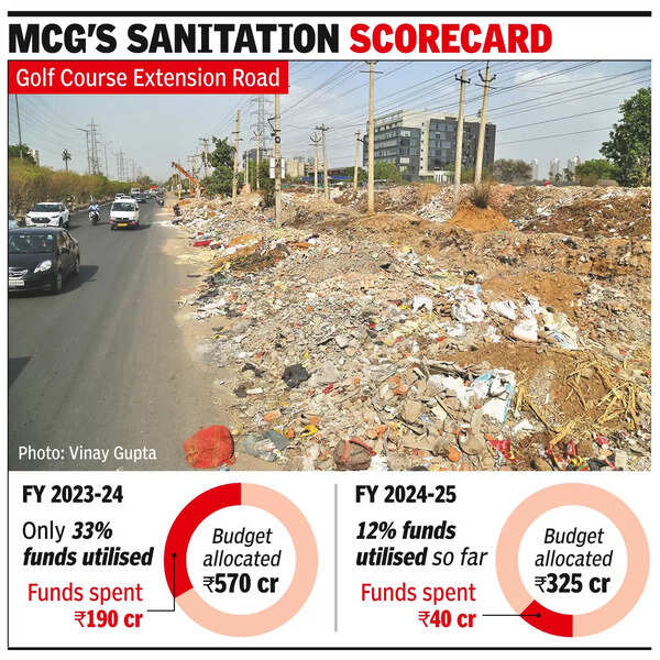 Waste Management Crisis: MCG Solid Waste Management Crisis in Gurgaon | Gurgaon News - Times of ...