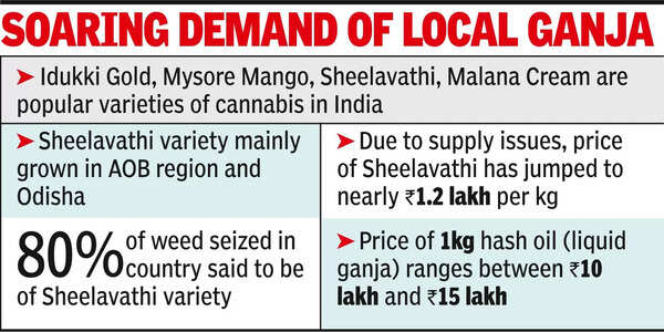 Sheelavathi Supply: Sheelavathi supply affected by poll vigilance ...