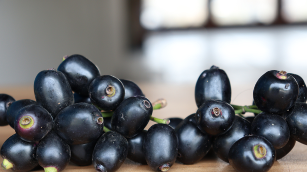 Jamun Health Benefits: 9 health benefits of consuming Jamun in summers ...