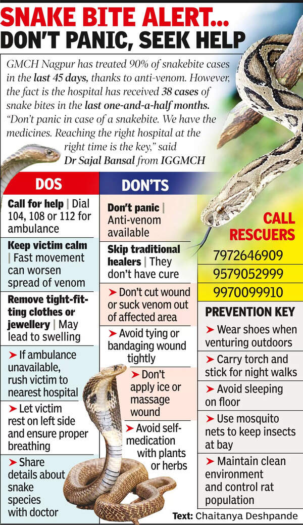 Monsoon: Beware of Seasonal Infections During Monsoon | Nagpur News ...