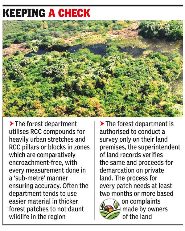 Forest Conservation: Industrial & civic expansion threaten forests ...