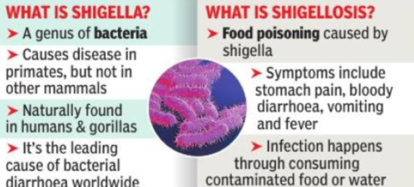 Kolkata institute in race to develop world's 1st vaccine against highly ...