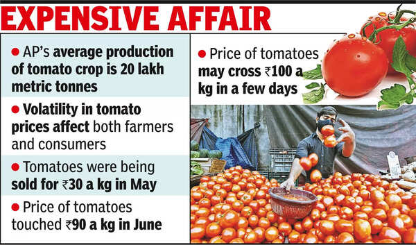 Tomato Prices: Tomato prices hit ₹90, price may continue to remain high ...