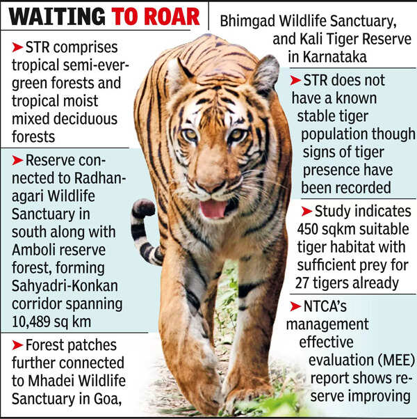 Tiger Conservation: Sahyadri tiger translocation project hits pause ...