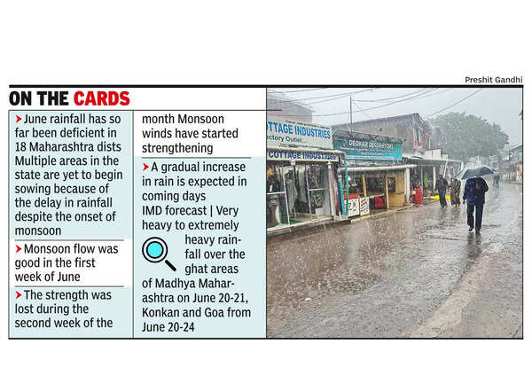 Rain: Good Rain in Kolhapur Dam Catchments | Kolhapur News - Times of India
