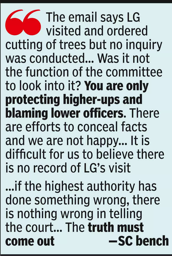 LG-tree cutting row: Delhi civic body is shielding higher-ups, says SC ...