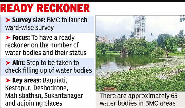Water Bodies: Plan to map, geo-tag BMC area water bodies to save them ...