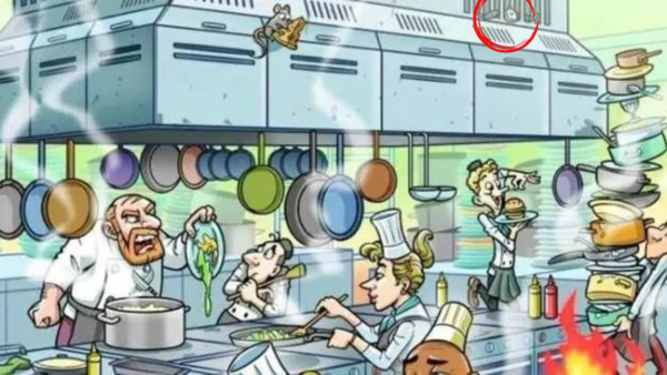 Optical Illusion: Only a brilliant observer can find the lost watch in ...