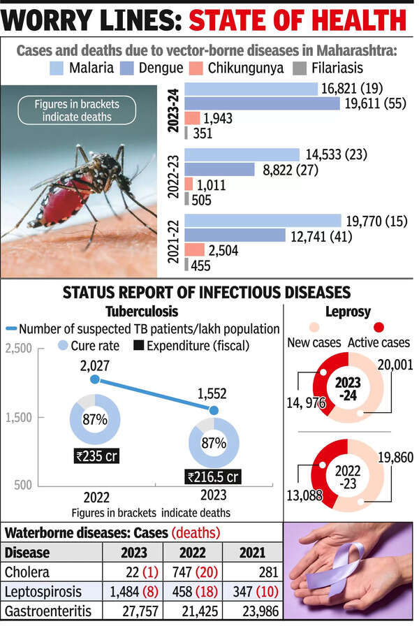 Dengue Cases: Dengue cases jump 122% in 1 yr, malaria fatalities drop ...