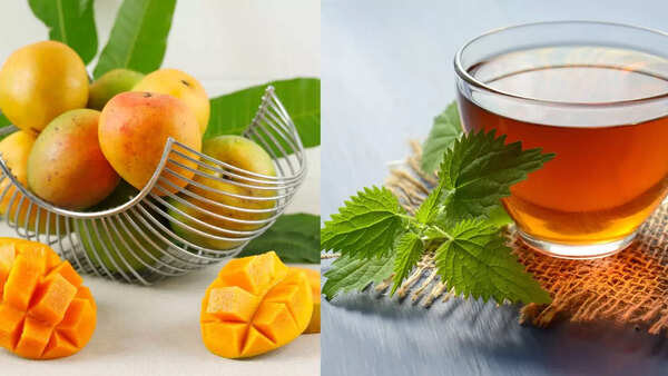8 Reasons why should not throw away Mango leaves - Times of India