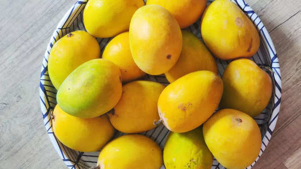 6 ways to store mangoes for at least a month - Times of India