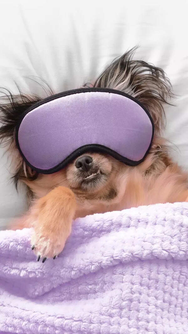 Inside the White House