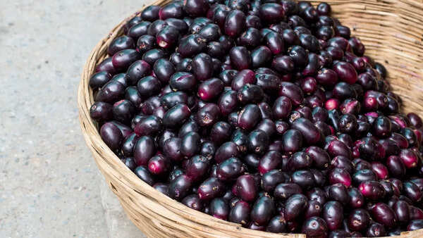 Jamun: Benefits and Ayurvedic Significance | - Times of India