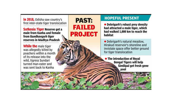 Tigers: Translocation of Five Tigers from Maha & MP to Similipal and ...