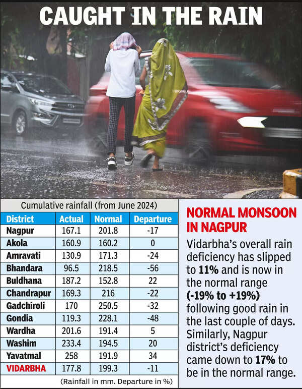 Monsoon: Monsoon forecast for Vidarbha: Pause in rainfall expected till mid-week, normal to ...