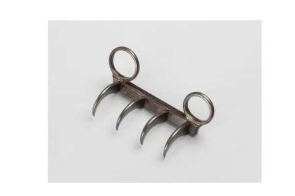 Celebrating Shivaji Maharaj’s Jayanti at Agra Red Fort is matter of ...