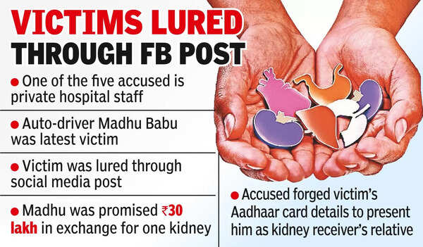 Illegal Organ Trade: Case against five over illegal organ trade ...