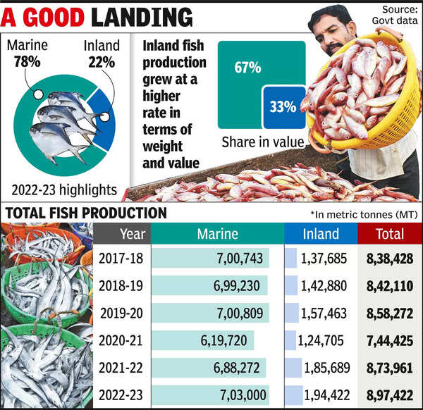 Metric Tonnes: Gujarat fish production hits record high of 8.97L MT in ...